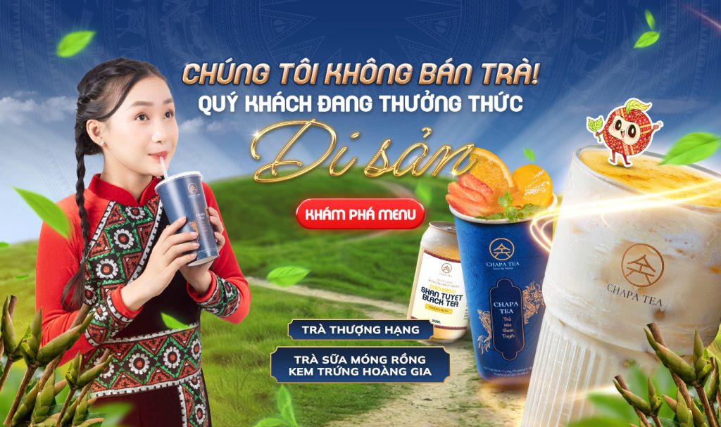 TRANG CHỦ - Chapa Tea Việt Nam | Trà Sữa Shan Tuyết | Trà Shan Tuyết